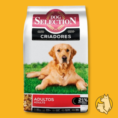 Dog Selection adulto R Med y Gde - Animales Sueltos