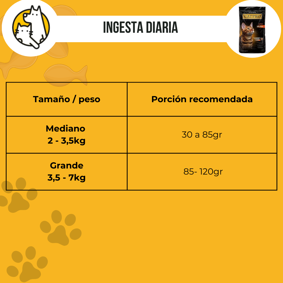 Cat Pro - Animales Sueltos